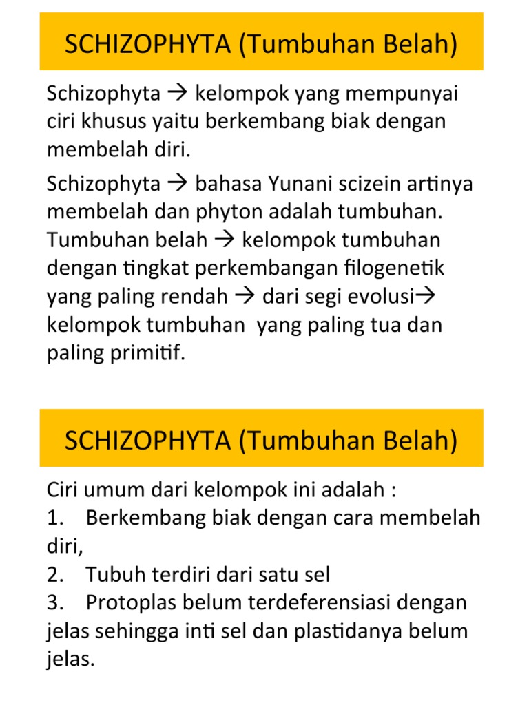 SCHIZOPHYTA (Tumbuhan Belah) Bakteri | PDF