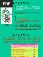 Ligasas | PDF | Enzima | Catálisis