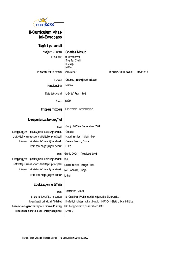 CV Template Bil-Malti | PDF