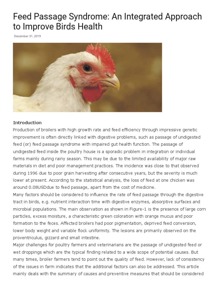 Feed Passage Syndrome - An Integrated Approach To Improve Birds Health ...