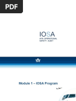 IOSA Audit Training for Airlines | PDF | Audit | Internal Audit
