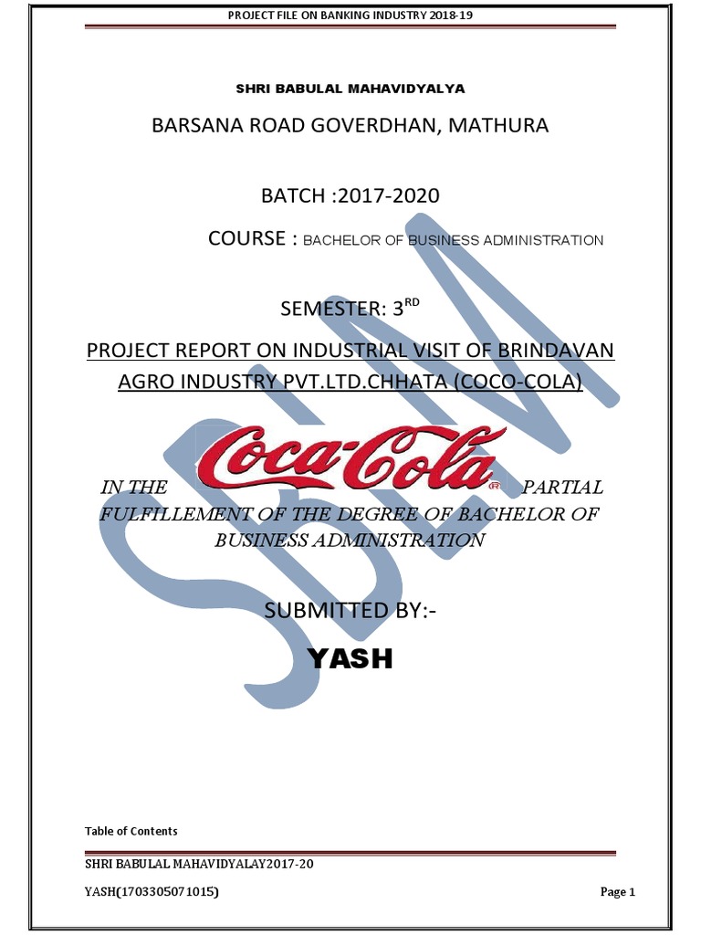 YASH Banking Report | PDF | Banks | Cheque