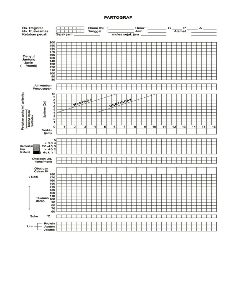Format Partograf Kosong PDF | PDF