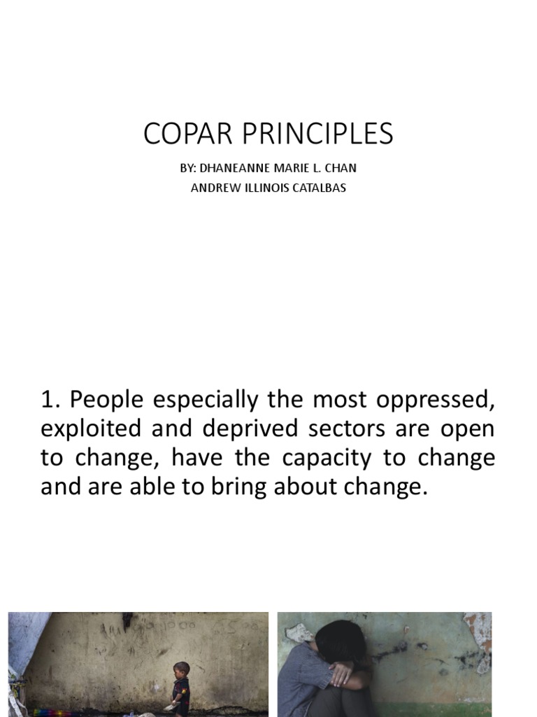 COPAR Principles PDF | PDF