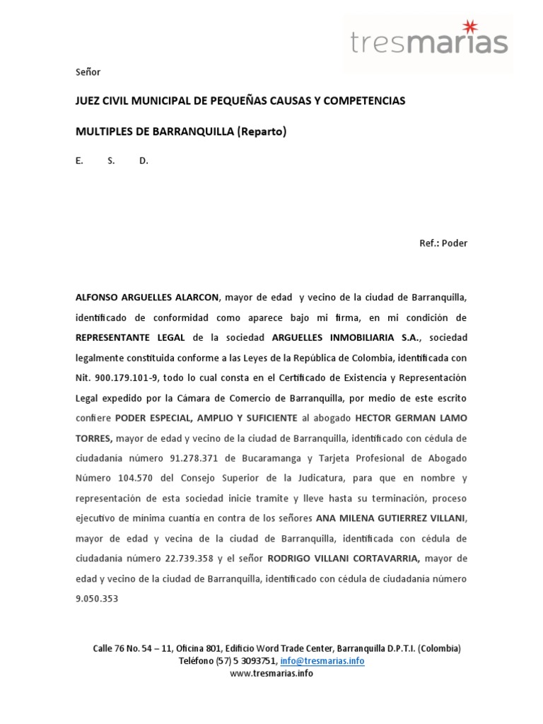 Poder Especial para Proceso Judicial | PDF | Instituciones sociales ...