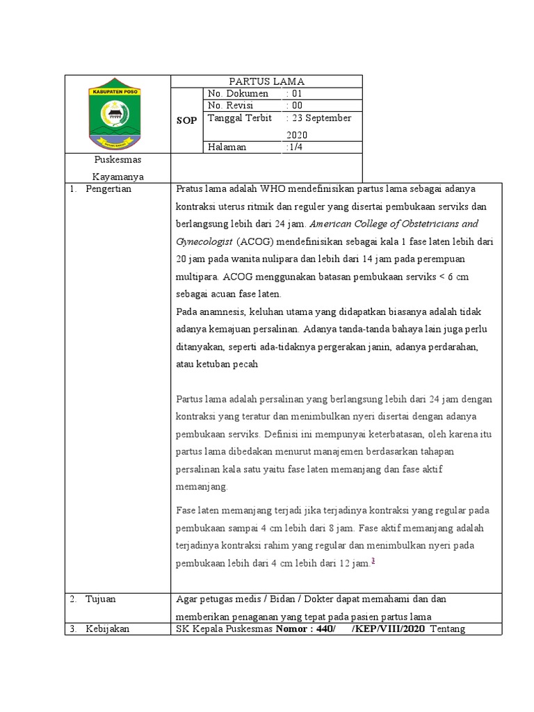 SOP Penanganan Partus Lama | PDF