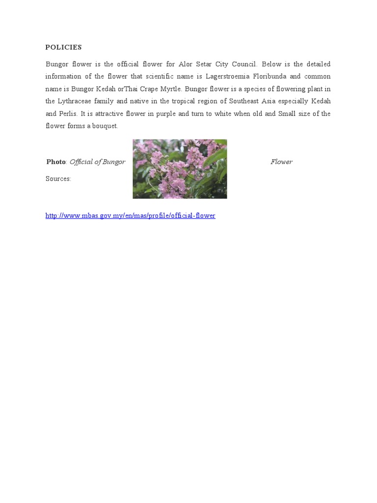 Bungor Flower | PDF