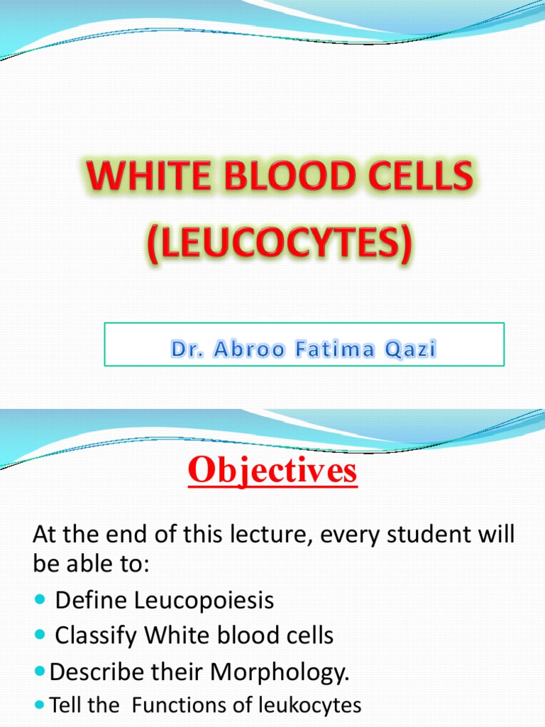 Classification Functions of WBCs | PDF | Granulocyte | White Blood Cell