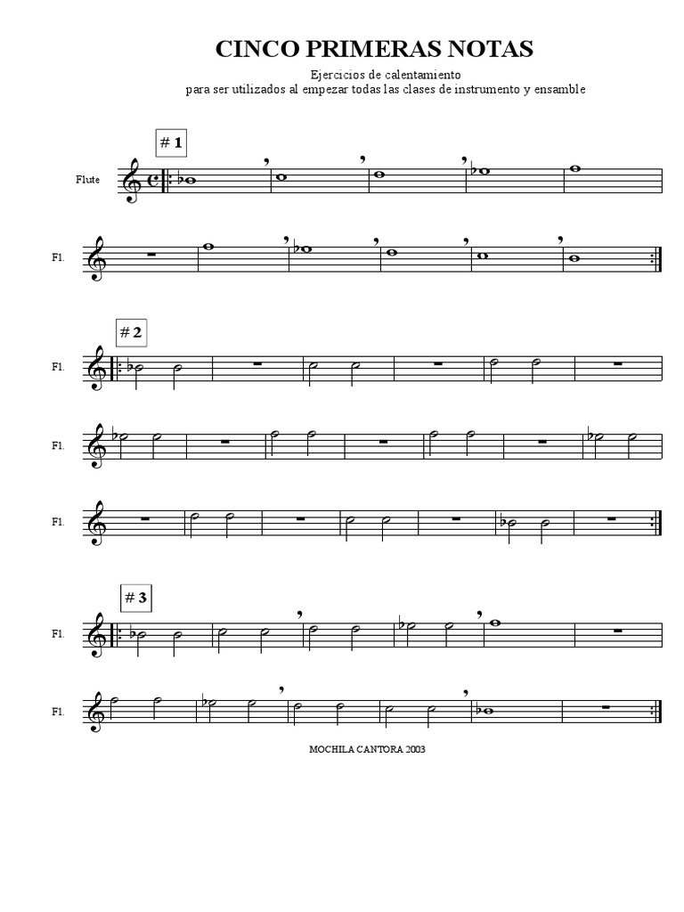 Flauta Traversa | PDF