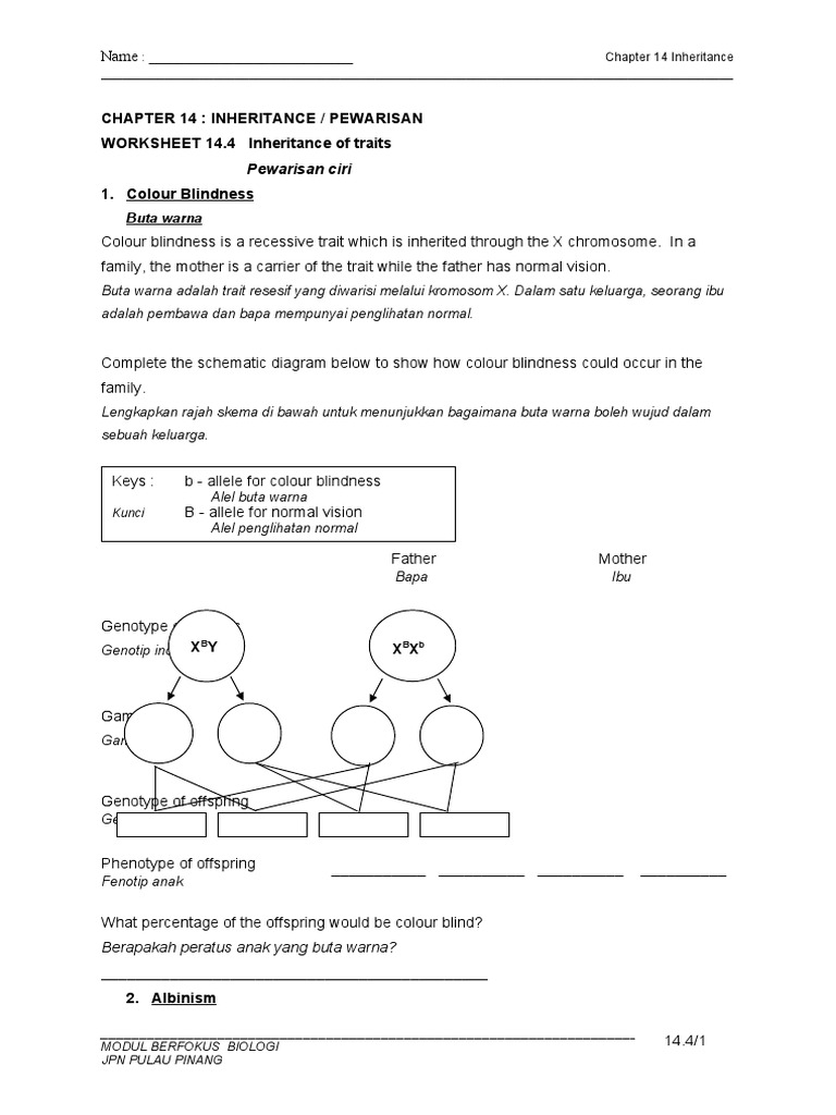 Inheritance Traits Worksheet | PDF | Genotype | Allele