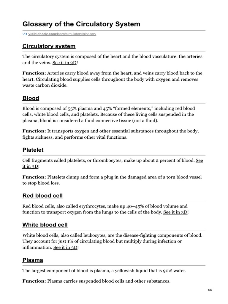 Glossary of The Circulatory System | PDF | Heart Valve | Heart