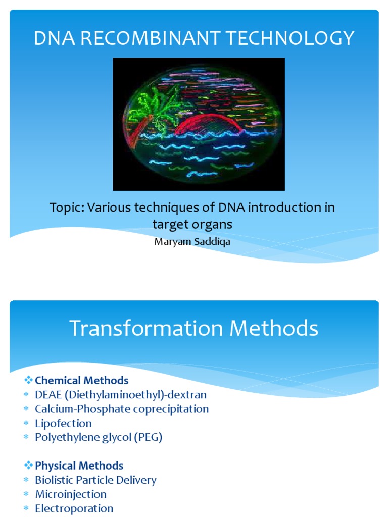 Dna Recombinant Technology: Topic: Various Techniques of DNA ...