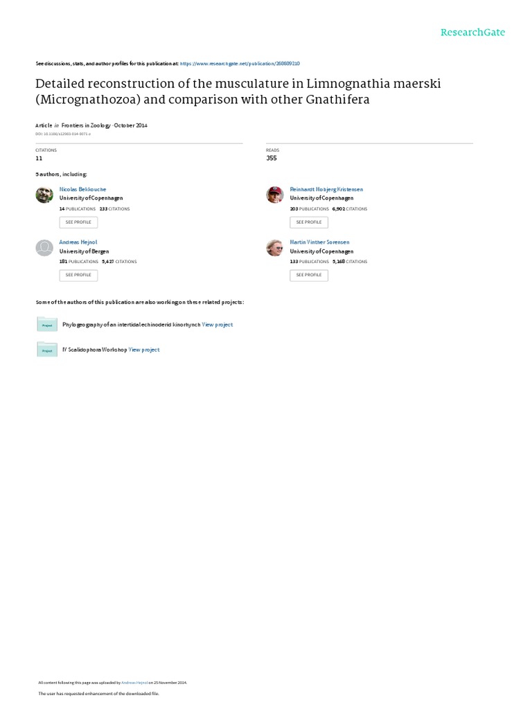 Detailed Reconstruction of The Musculature in Limnognathia Maerski ...