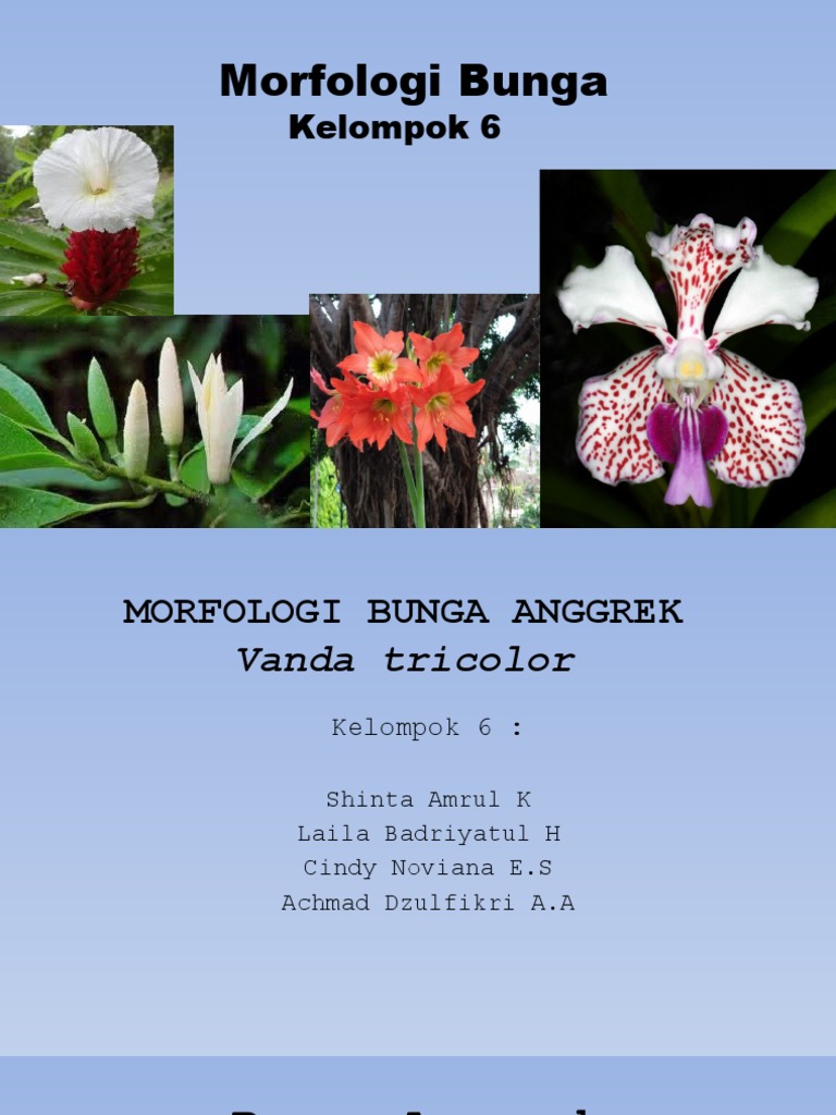 Morfologi Bunga | PDF