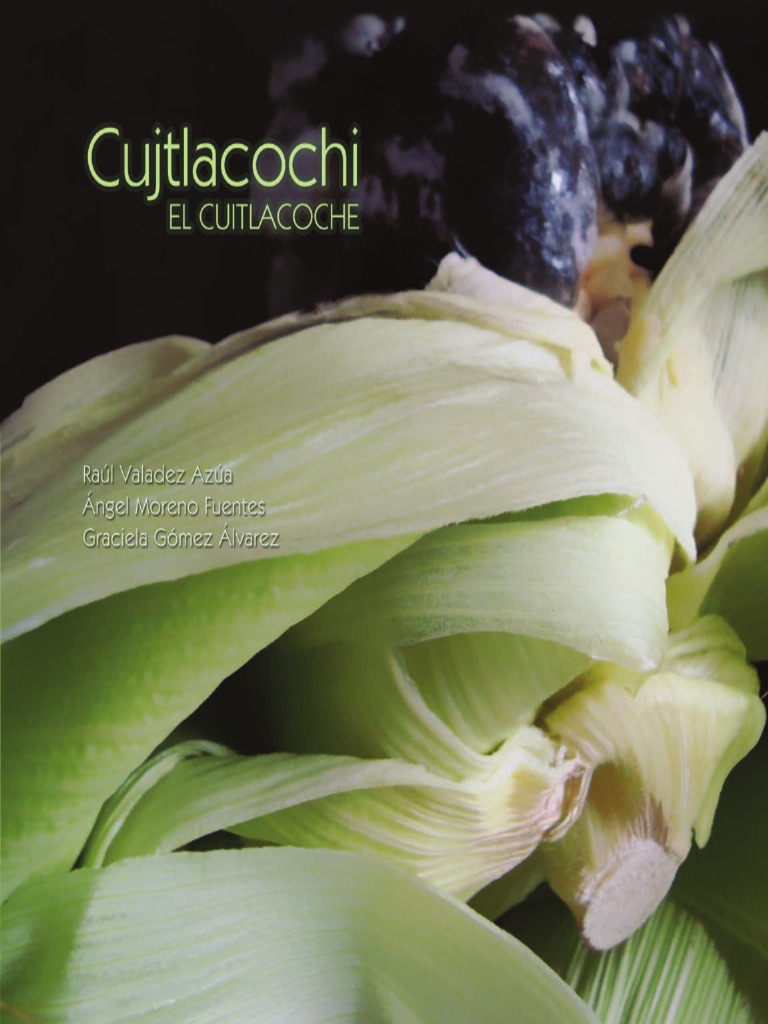 Cuitlacoche PDF | PDF | Maíz | Hongo