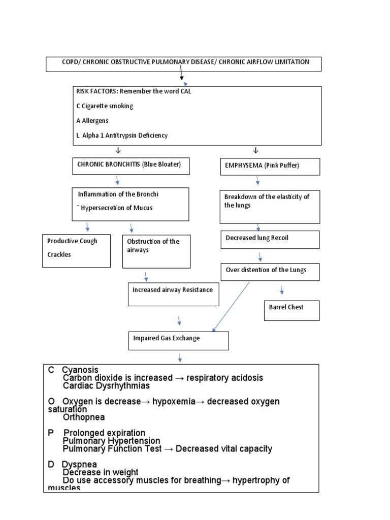 Copd Concept Map | PDF