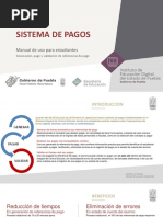 Instructivo de Pago FATSA Online | PDF