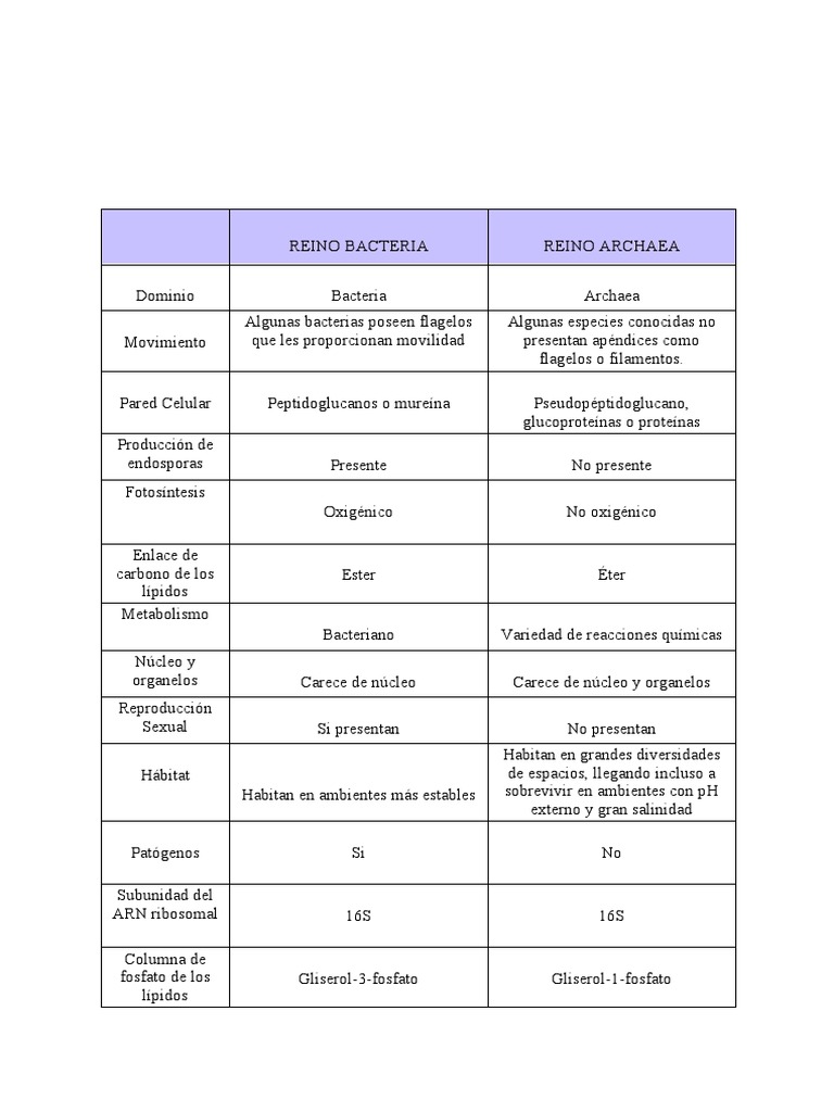 Reino Bacteria y Archaeas Cuadro Comparativo | PDF