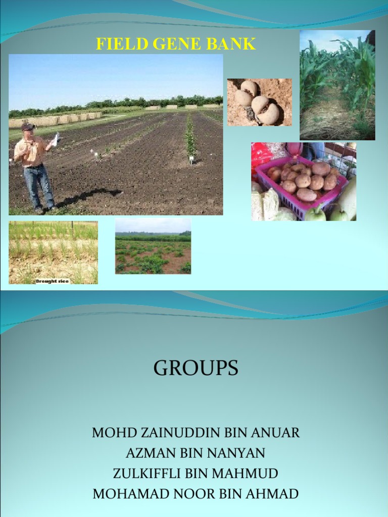 Field Gene Bank Management Guidelines | PDF | Nature | Plants
