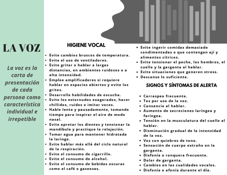 Folleto Higiene Vocal | PDF | Laringe | Otorrinolaringología