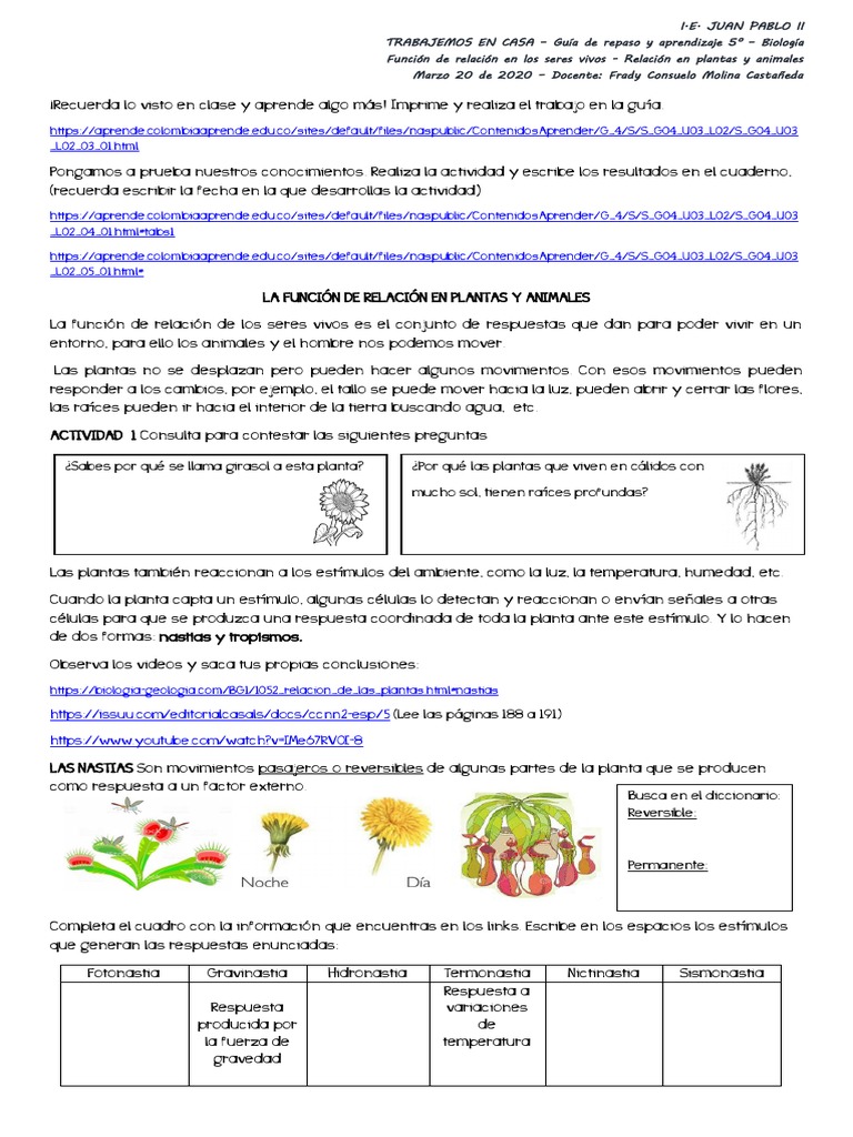 Función de Relación en Seres Vivos | PDF | Sistema nervioso | Anatomía