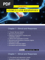 Toronto Clinical Neuropathy Scoring System | PDF | Peripheral ...