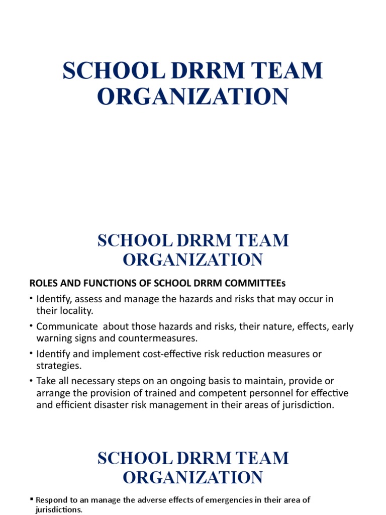 School DRRM Team Organization | PDF | Risk Management | Search And Rescue