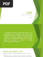 Metodologia Amef | PDF