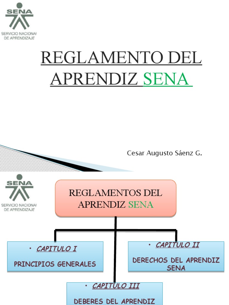 Reglamento Sena Diapositivas | PDF
