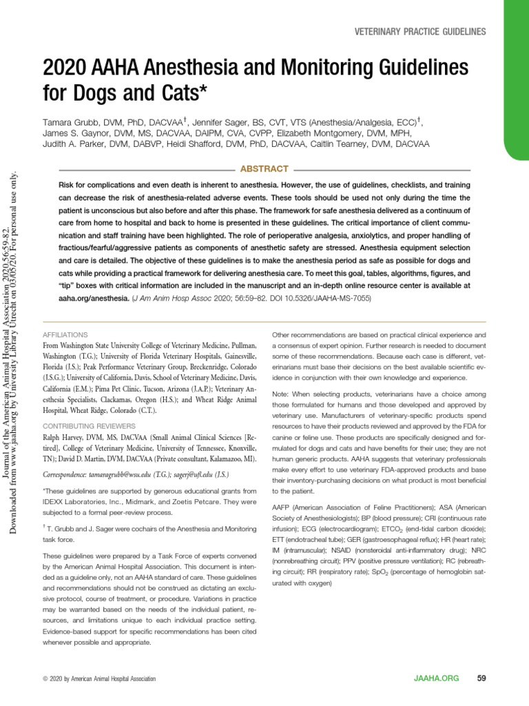 Anesthesia and Monitoring Guidelines PDF | PDF | Anesthesia | Health Care