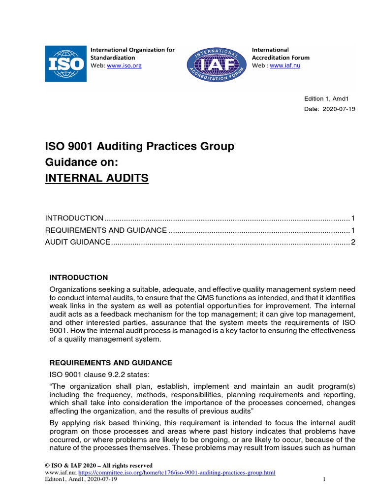 ISO 9001 Auditing Practices Group Guidance On: Internal Audits | PDF ...