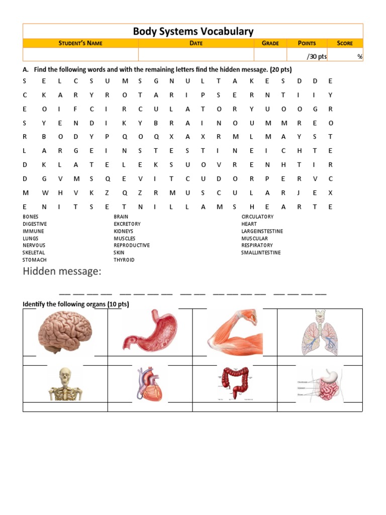 Body Systems Vocabulary: Hidden Message | PDF