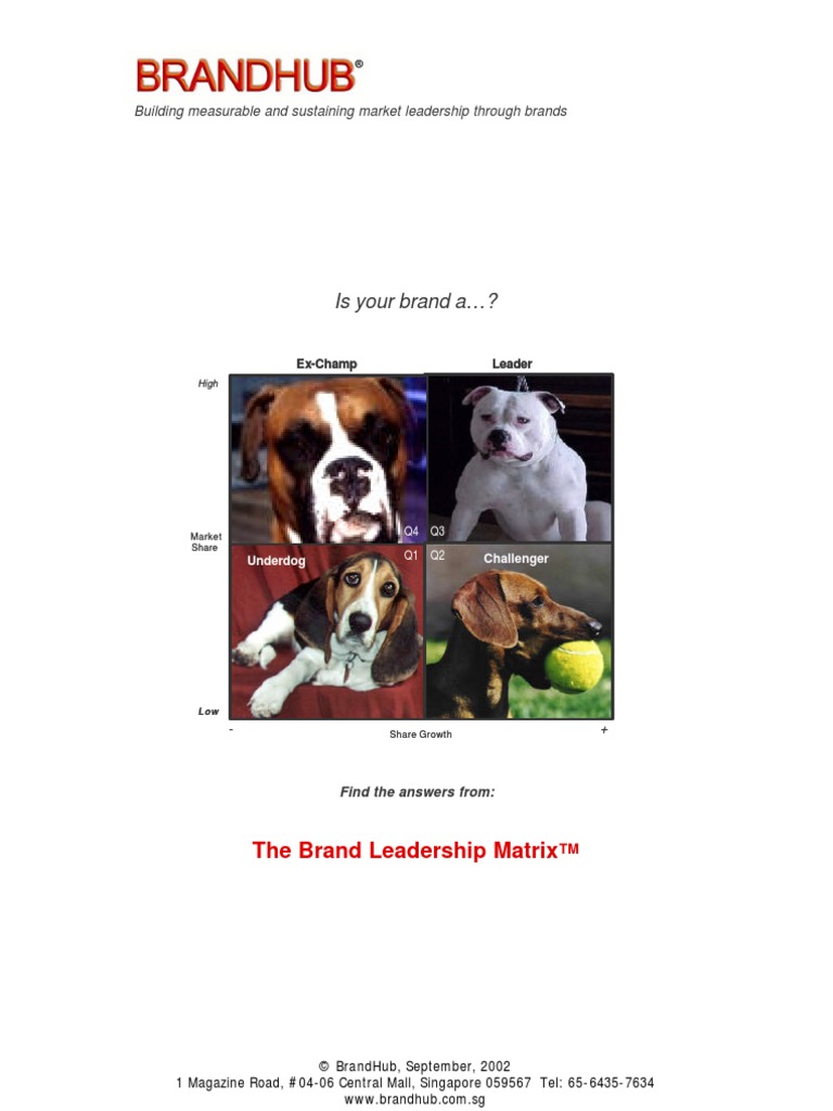 Is Your Brand A ?: The Brand Leadership Matrix | PDF | Brand ...