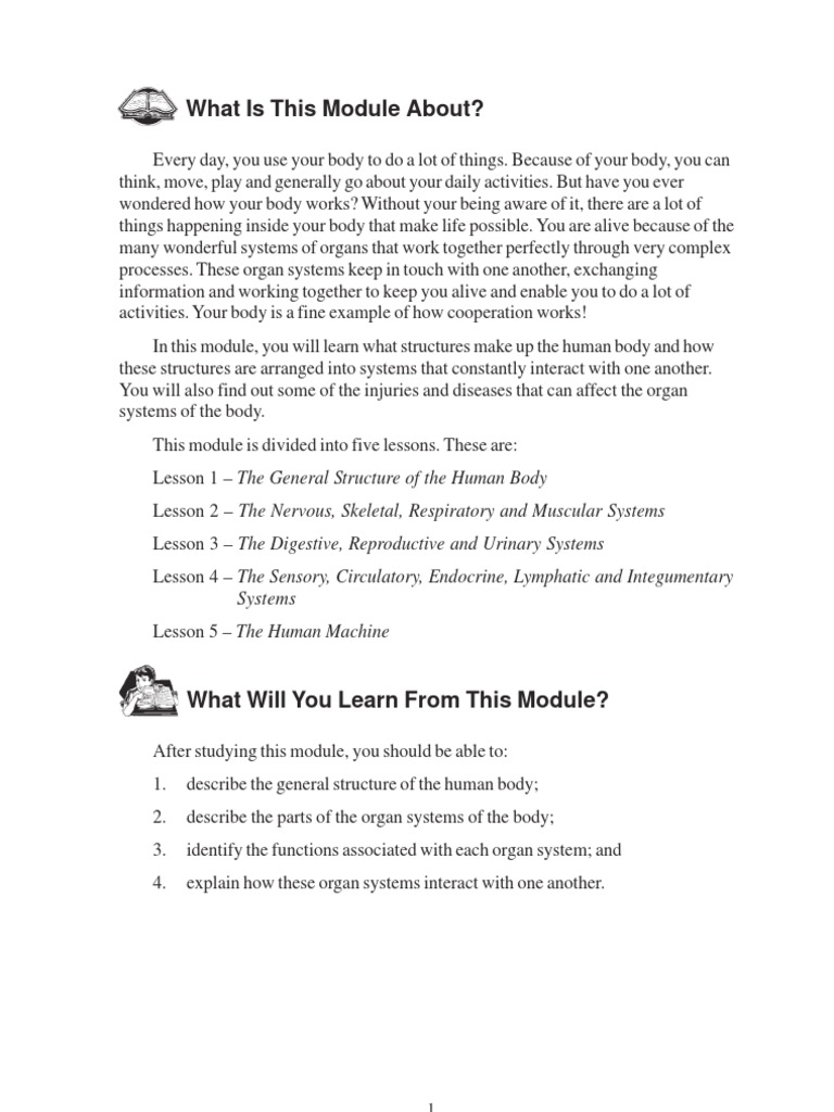 The Organ System of The Human Body | PDF | Lymphatic System | Senses