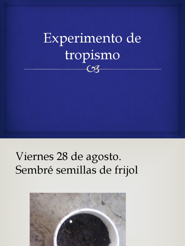 Experimento de Tropismo :) | PDF