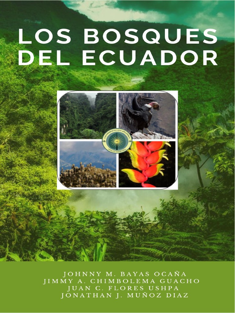Los Bosques Del Ecuador | PDF | Ecuador | Deforestación
