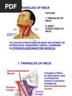 Suboccipital Triangle Anatomy Overview | PDF | Neck | Vertebra