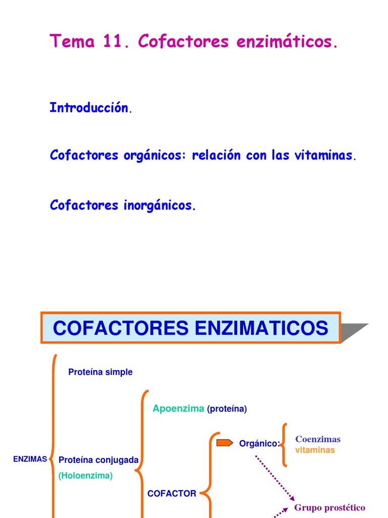 Cofactores enzimaticos y vitaminas
