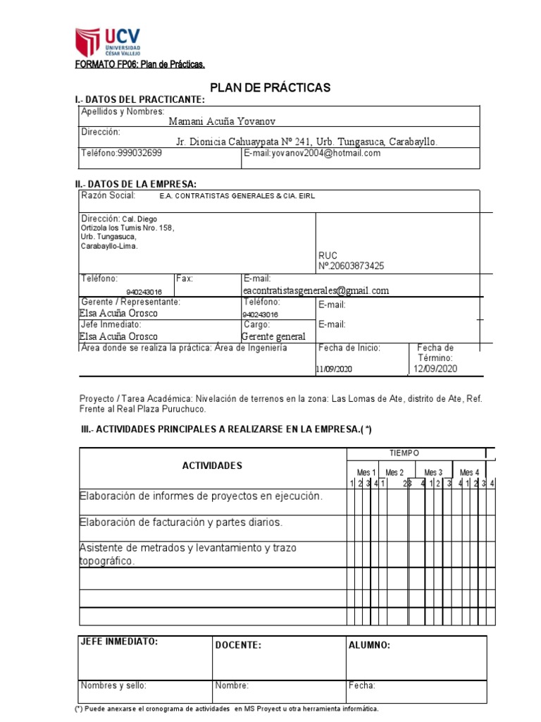 Formato FP06 - Plan de Practicas | PDF | Informática | Science