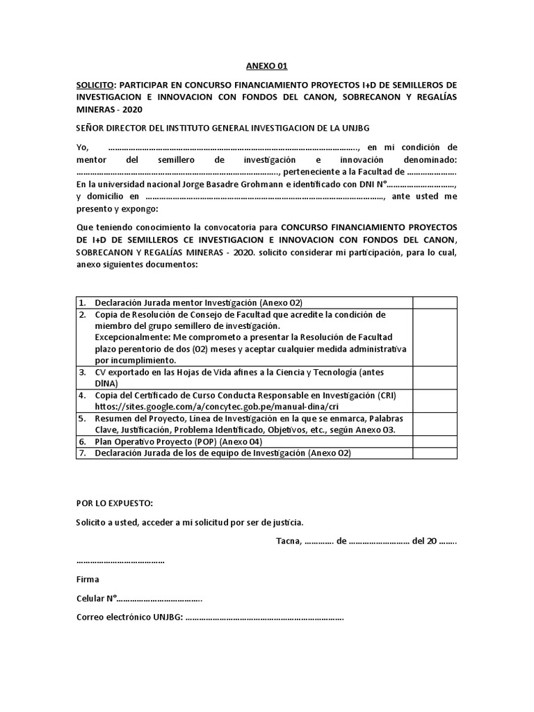 Anexo 01 | PDF