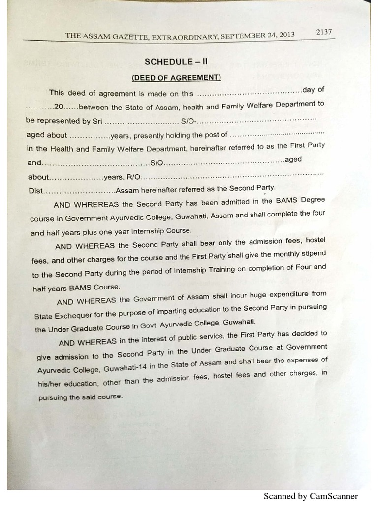 Digitized Document Insights | PDF