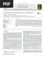 BBCH Scale: A Global Phenology Tool | PDF | Cucurbita | Cabbage