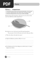 Magnification Worksheet | PDF | Units Of Measurement | Teaching Mathematics