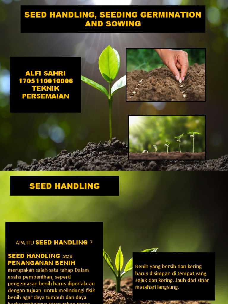 Seed Handling | PDF
