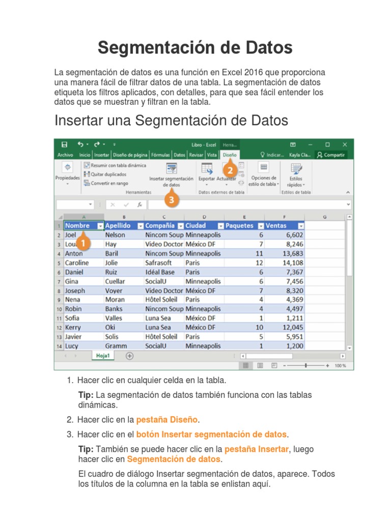Segmentacion de Datos PDF | PDF