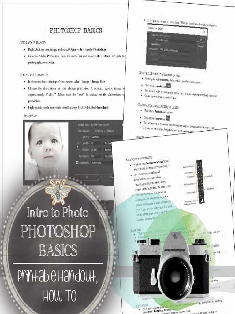 Photoshop Basics: Introductory Guide | PDF