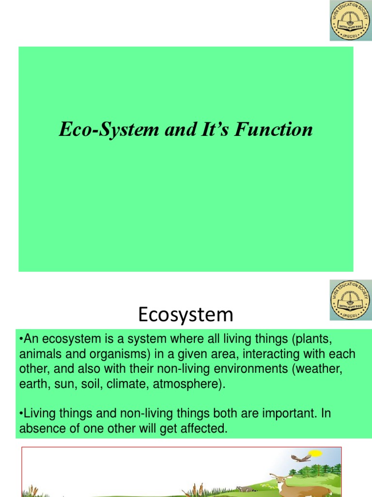EVS-Unit-1 Ecosystem | PDF | Food Web | Ecosystem