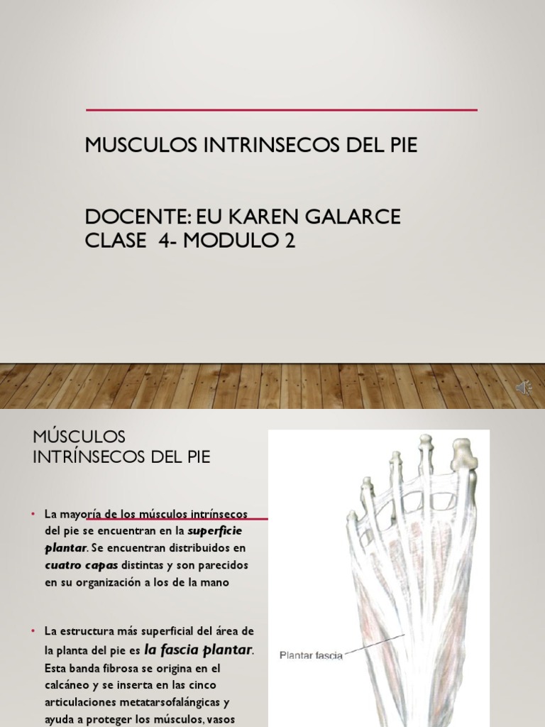 Músculos Intrínseco | PDF | Dedo del pie | Pie
