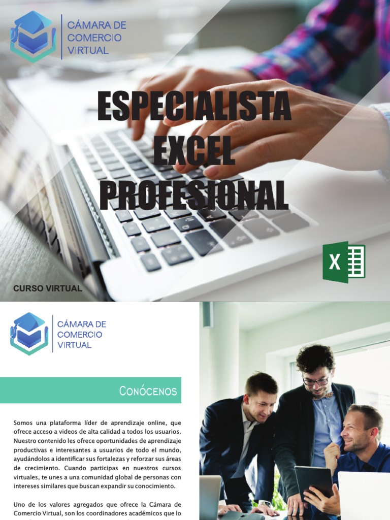 Brochure Excel Profesional PDF | PDF | Microsoft Excel | Tecnología de ...
