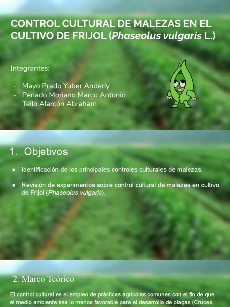 Control Cultural en Malezas PDF | PDF | Plaga (organismo) | Agricultura